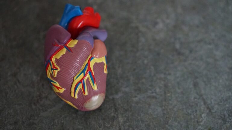 The Silent Killer: Understanding Heart Disease and Taking Control of ...